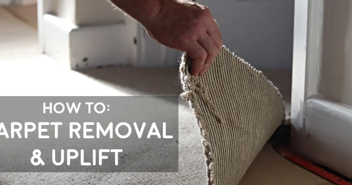 Carpet Removal and Uplift Guide | AnyJunk Blog